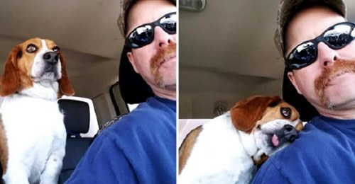 Dog Immediately Thanks The Man Who Saved Him From Death Row – Dog ...