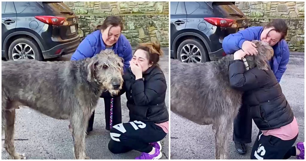 Girl Can’t Stop Crying When She Sees The Dog She Thought She’d Lost ...