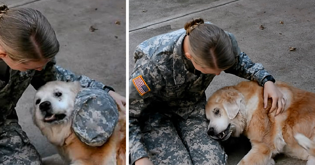 After three long months, the old dog and the soldier finally reunited ...