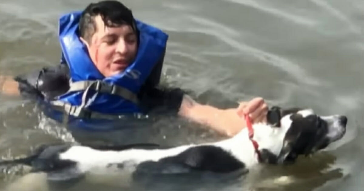 Man Leaves His Own Birthday Party To Rescue Dog From Drowning In River ...