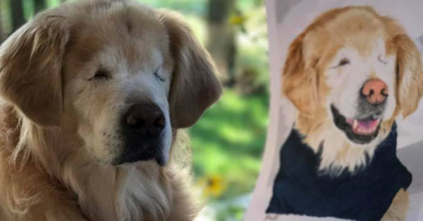 RIP SMILEY–THE DOG WHO OVERCAME SO MUCH TO BRING US HAPPINESS – Dog ...