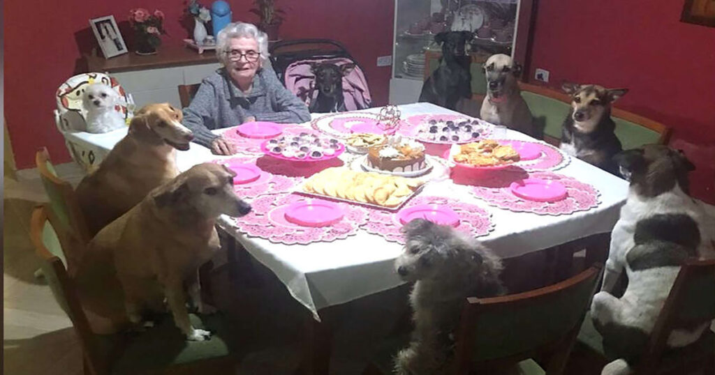 DOGS THROW THE MOST ADORABLE PARTY FOR GRANDMA’S 89TH BIRTHDAY – Dog ...