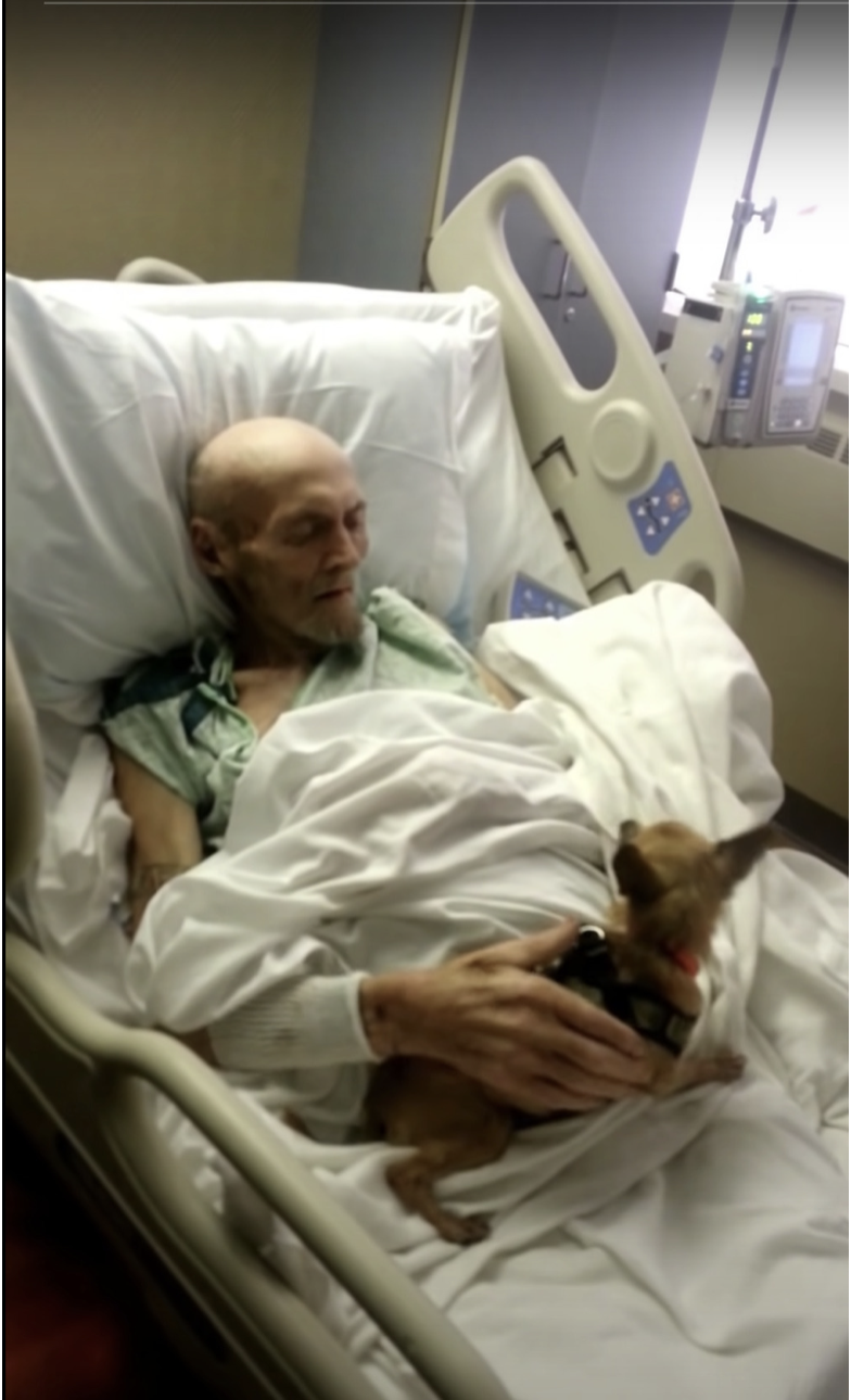 After being reunited with his beloved dog,this elderly man notices a ...