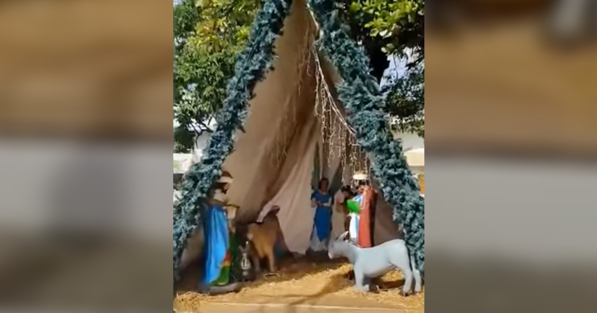 People passing by notice a dog in a nativity scene and realize she’s ...