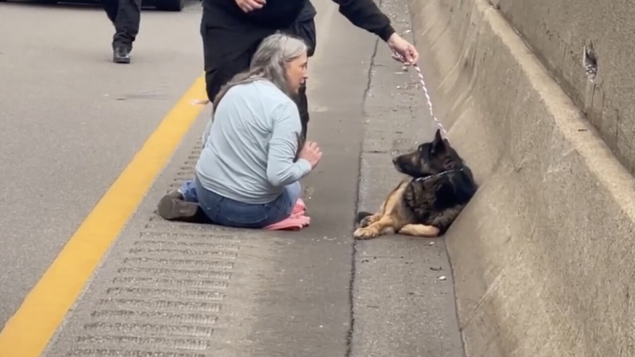 A KIND WOMAN SAVES A DOG STUCK ON THE HIGHWAY – Dog Inspiration