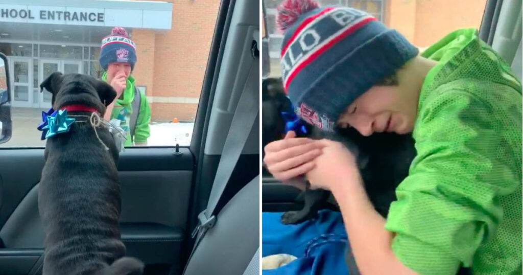 Boy is Reunited with His Lost Dog. – Dog Inspiration