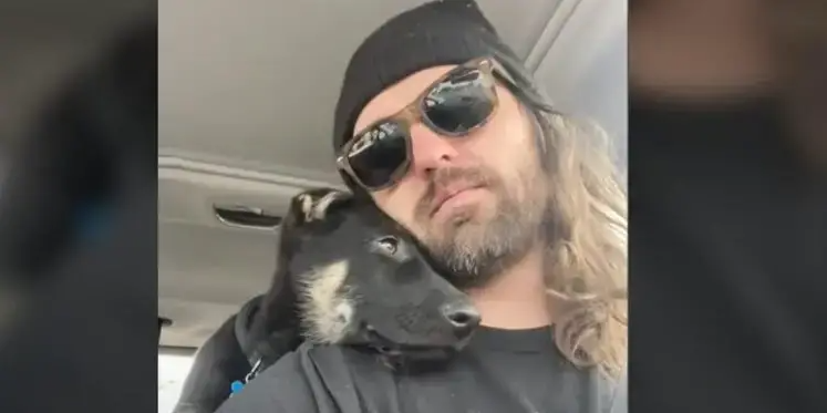 No One Wanted The ‘Odd Man Out’ German Shepherd Puppy, Until One Day ...